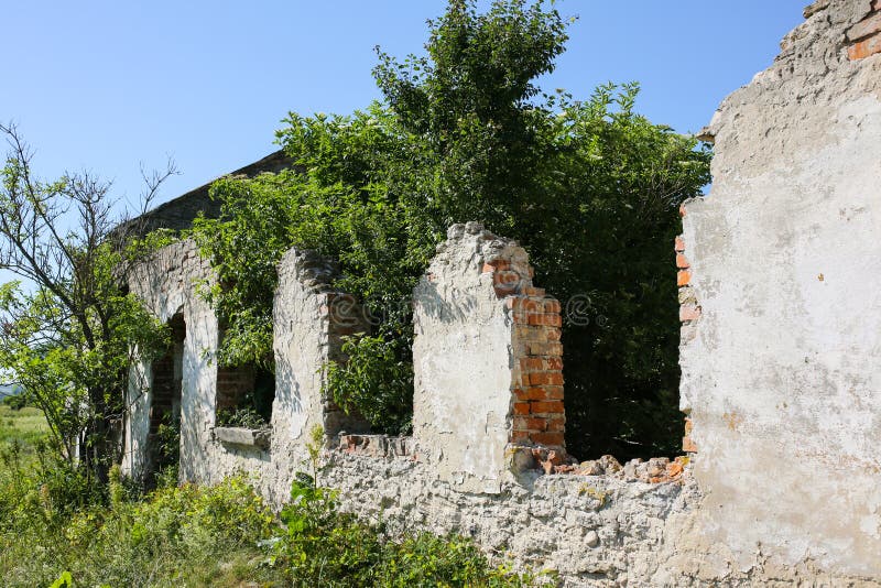Destroyed Brick Walls of the House. Abandoned Building with Trees ...