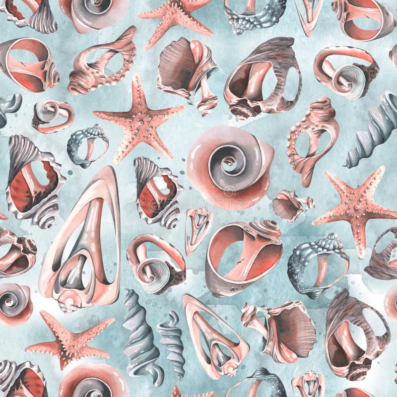 Broken Seashell Stock Illustrations – 46 Broken Seashell Stock ...