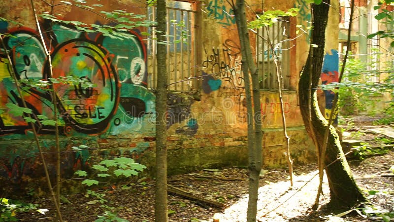 Destroyed Building in Forest with Graffiti on Walls Stock Video - Video ...