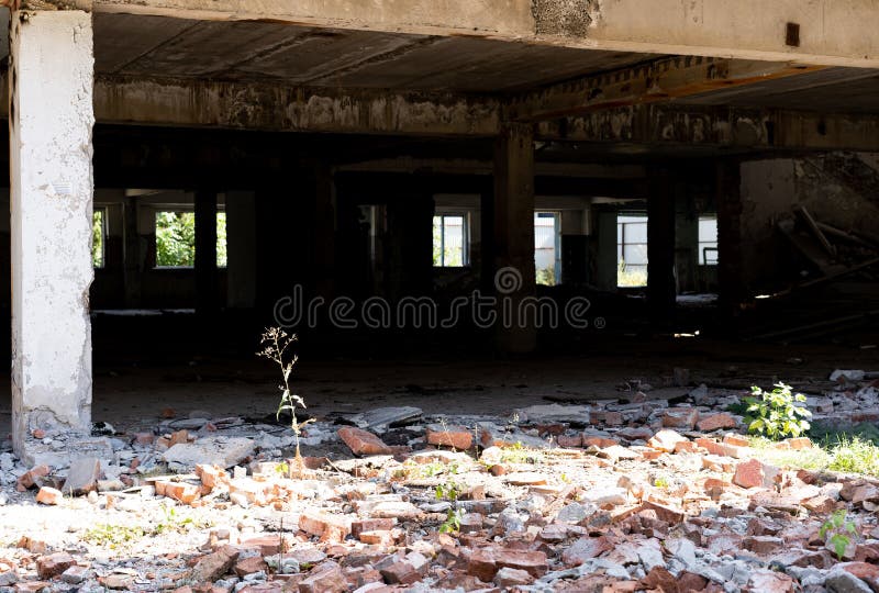 Destroyed Building on the Ground Floor Stock Photo - Image of brick ...
