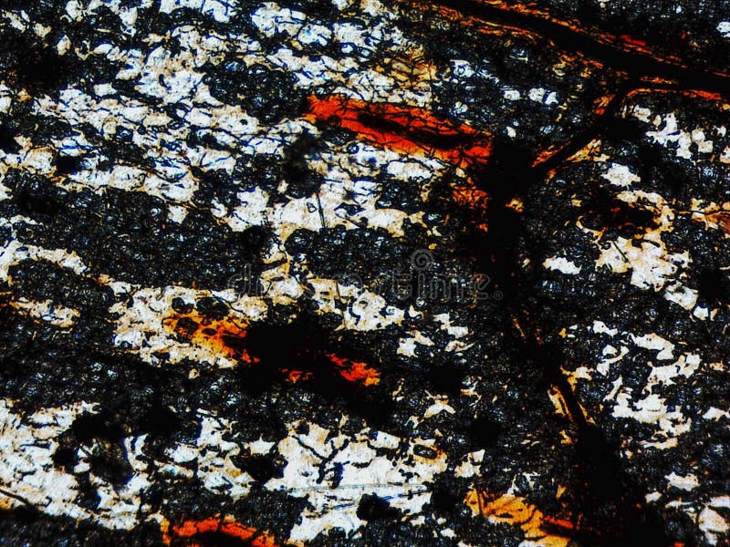 Destroyed cells stock image. Image of forming, dark, decay - 40682263