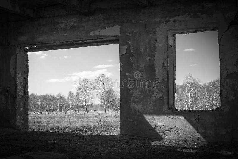 Destroyed Cow Farm after the Financial Crisis Stock Photo - Image of ...