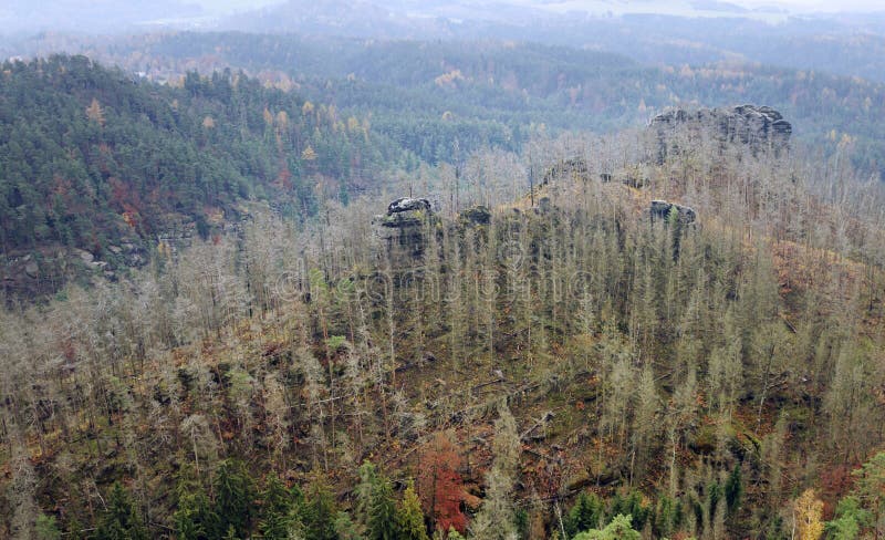 A destroyed forest stock image. Image of dead, mountains - 25447335