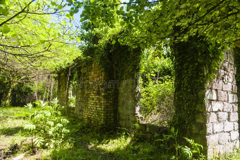 Destroyed House in Abkhazia Stock Photo - Image of destruction, house ...