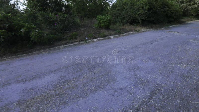 Destroyed road surface stock footage. Video of concrete - 118282262