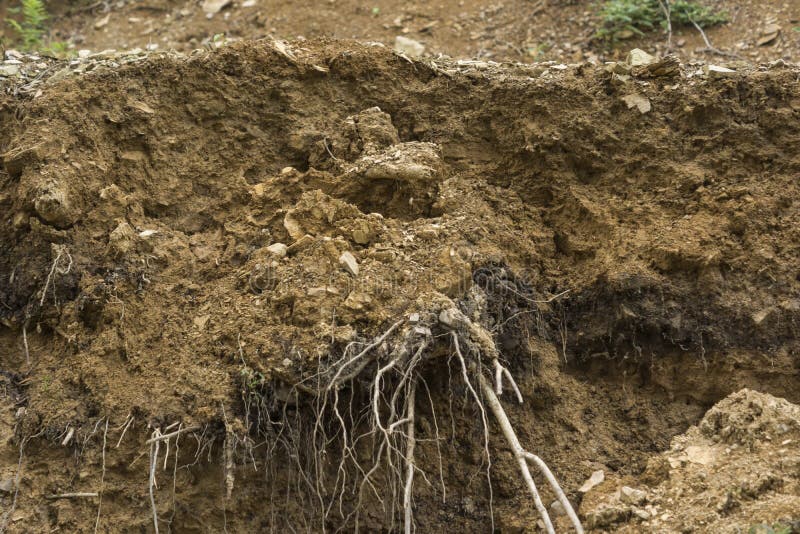 Destroyed soil stock image. Image of lithosol, destroy - 222426327