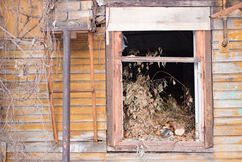 Destroyed Window in a Wooden House Stock Image - Image of grunge ...