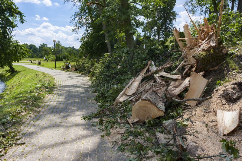 Destruction on the Bike Path after the Hurricane Winds Stock Image ...