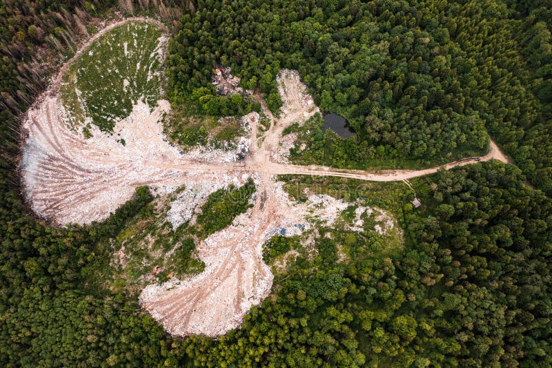 Destruction of Forests and Ecological System by Garbage Removal in ...