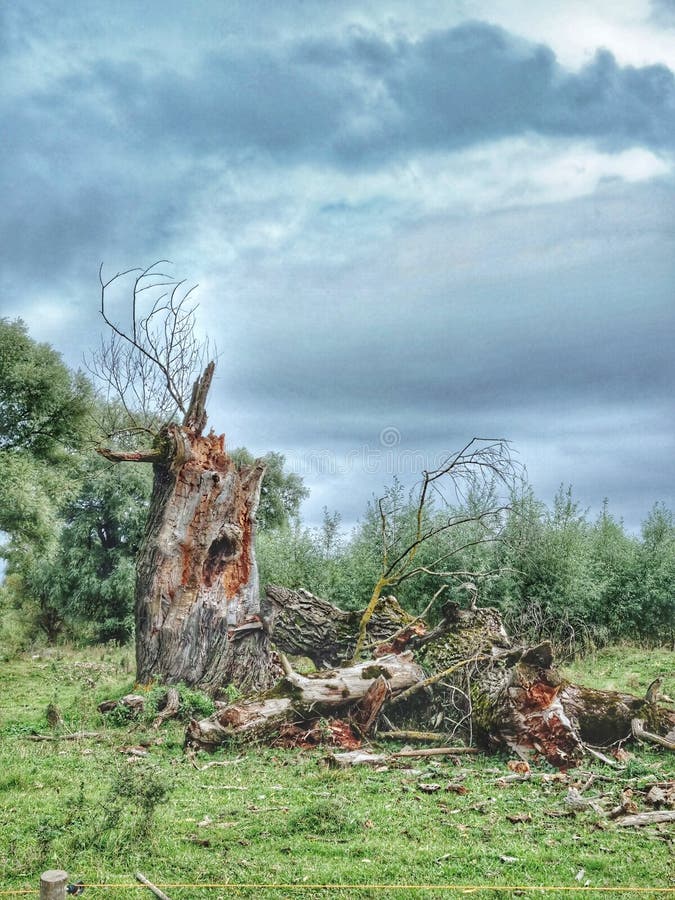 Destruction of Nature stock image. Image of wetland - 234394117