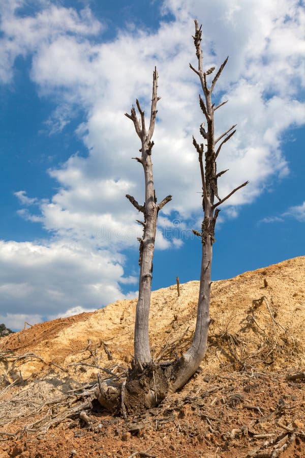 The destruction of nature stock photo. Image of extracting - 44750280
