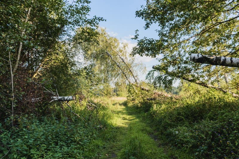 The destruction of nature stock photo. Image of mines - 44750280