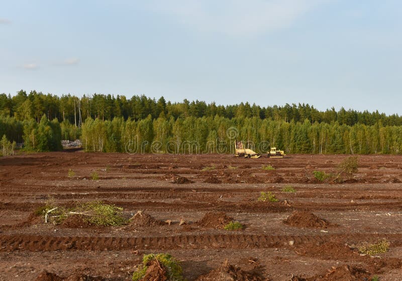 Destruction of Trees on Peatlands and Drainage of Peat Bogs at ...