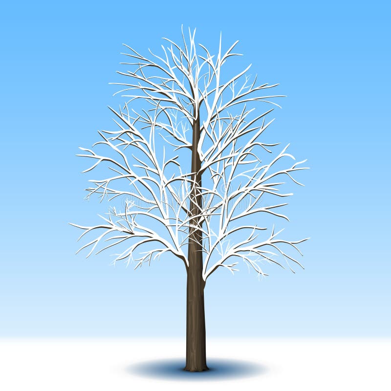 Detached Tree Leaves Shadow Stock Illustrations – 11 Detached Tree ...