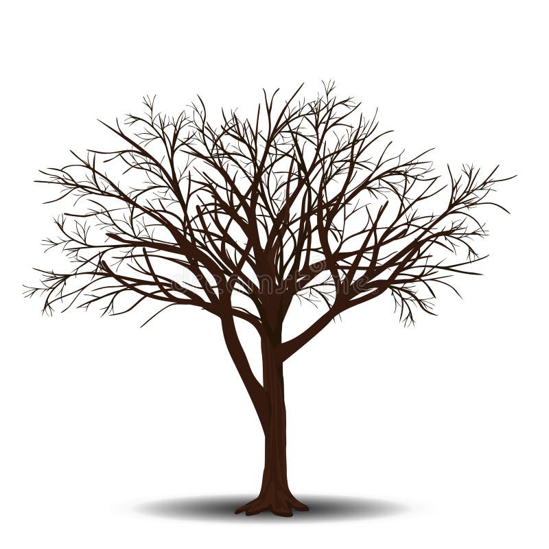 Detached Tree without Leaves with Shadow Stock Vector - Illustration of ...