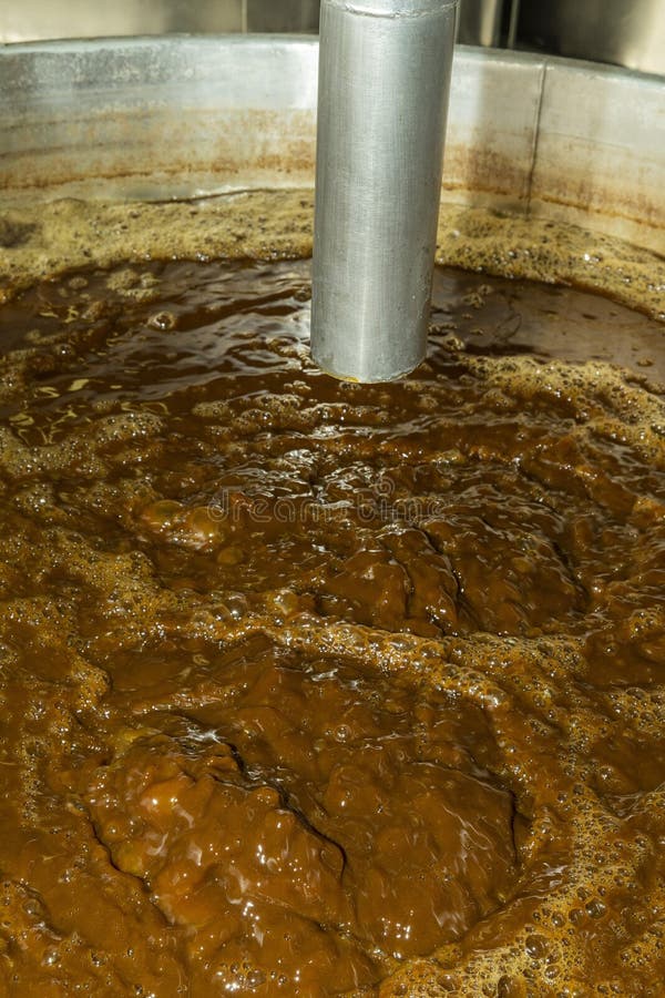 Detail of the agave stock photo. Image of tequila, mexican - 145581242