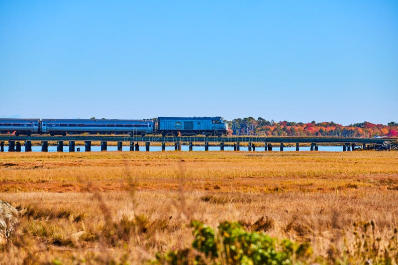 Detail of Amtrak Train Driving Across Water Bridge in Marshes during ...