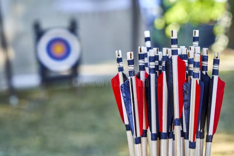 Detail of the Back Part of Arrows for Archery with Artificial Blue and ...