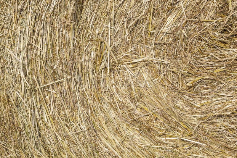 Detail of bale of straw stock image. Image of natural - 139214319
