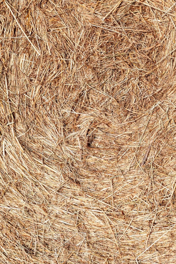 Detail of bale of straw stock photo. Image of farm, background - 352548454