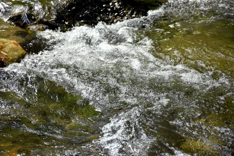 Detail of Beautiful Mountain Stream Stock Photo - Image of ecology ...