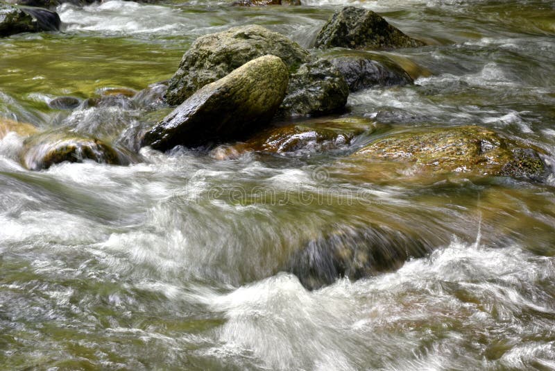 Detail of Beautiful Mountain Stream Stock Photo - Image of nice ...