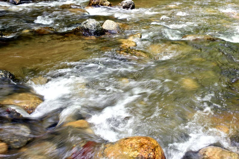 Detail of Beautiful Mountain Stream Stock Image - Image of live ...