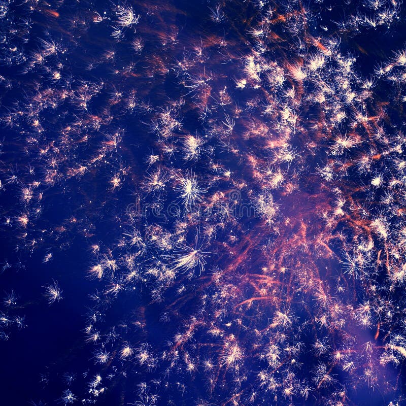 Sparkly Fireworks in Night Sky Stock Photo - Image of happy, isolated ...