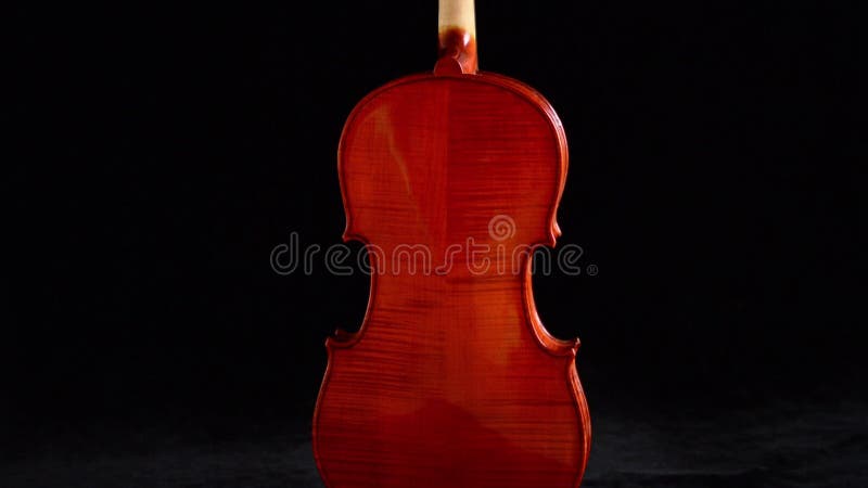 Detail of Body of a Violin or Viola Turning at Black Background Stock ...