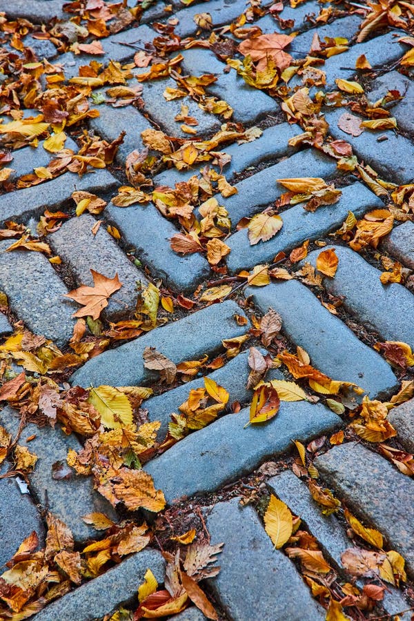 Detail of Brick Pattern on Ground with Fall Leaves Covering Stock Image ...