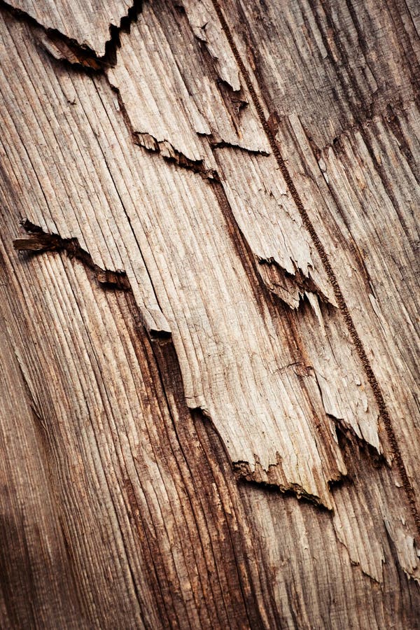 Detail of Broken Dark Wood Structure Stock Photo - Image of aging ...