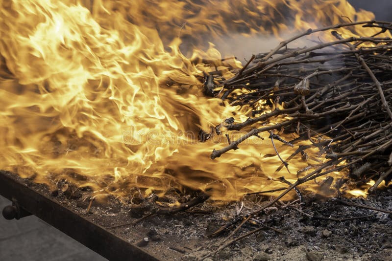 Branches with fire stock photo. Image of heat, christmas - 268291414