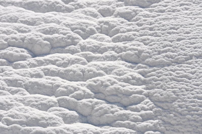 Detail of Calcite Nodules Embedded in a Limestone Rock Stock Photo ...