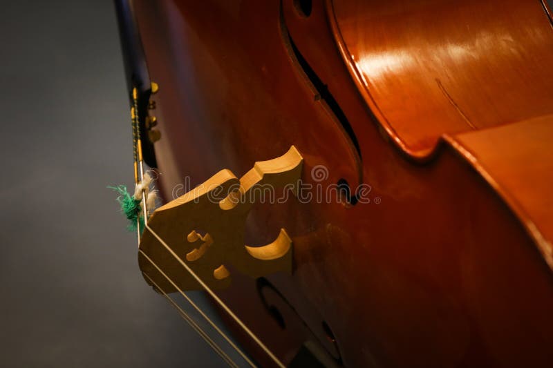 Detail of a cello stock image. Image of string, bridge - 361173445