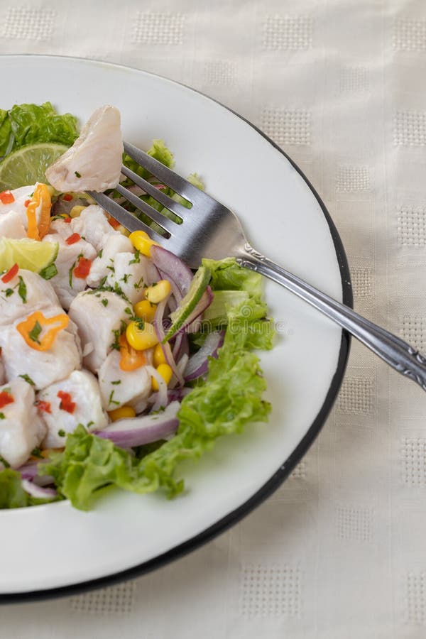 Detail of Ceviche, Typical Fish-based Dish of Peruvian Cuisine on a ...