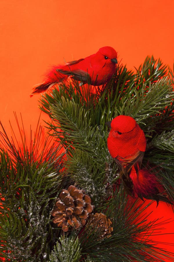 Detail Christmas Wreath with Red Birds Stock Image - Image of december ...