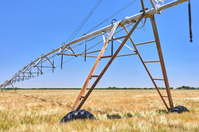 Circular Pivot Irrigation System in a Cereal Field before Mowing Stock ...