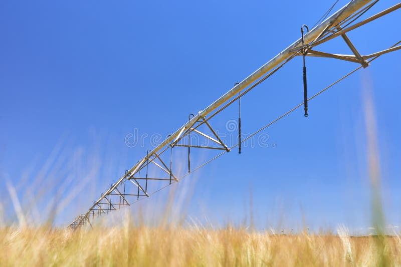 Circular Pivot Irrigation System in a Cereal Field before Mowing Stock ...