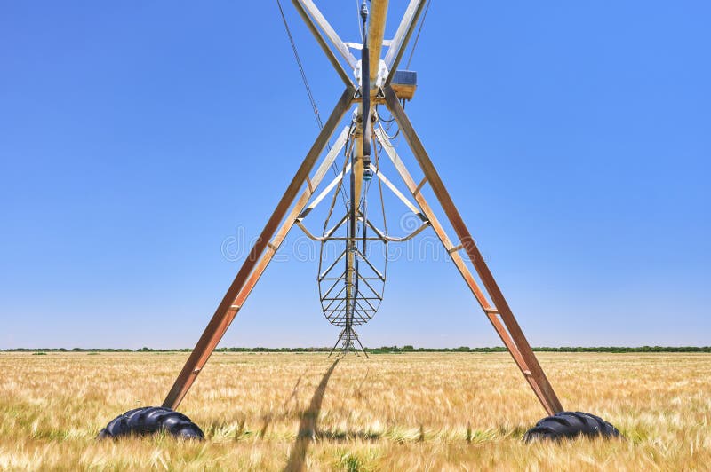 Circular Pivot Irrigation System in a Cereal Field before Mowing Stock ...