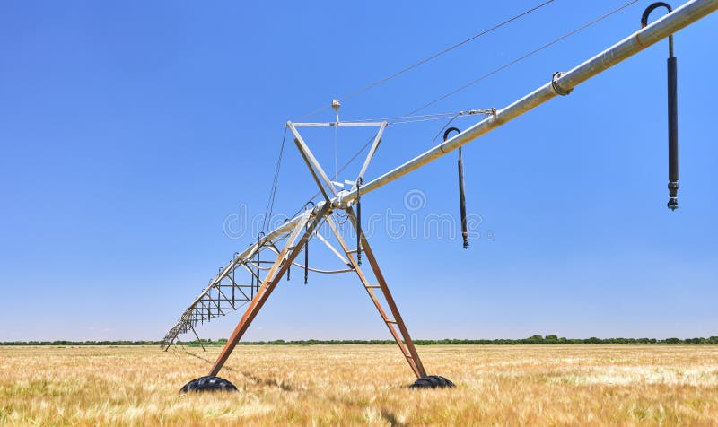 Circular Pivot Irrigation System in a Cereal Field before Mowing Stock ...