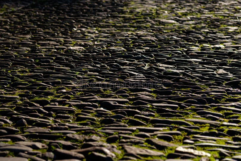 Detail of Cobblestone Paving Path with Moss in Old Street Stock Image ...