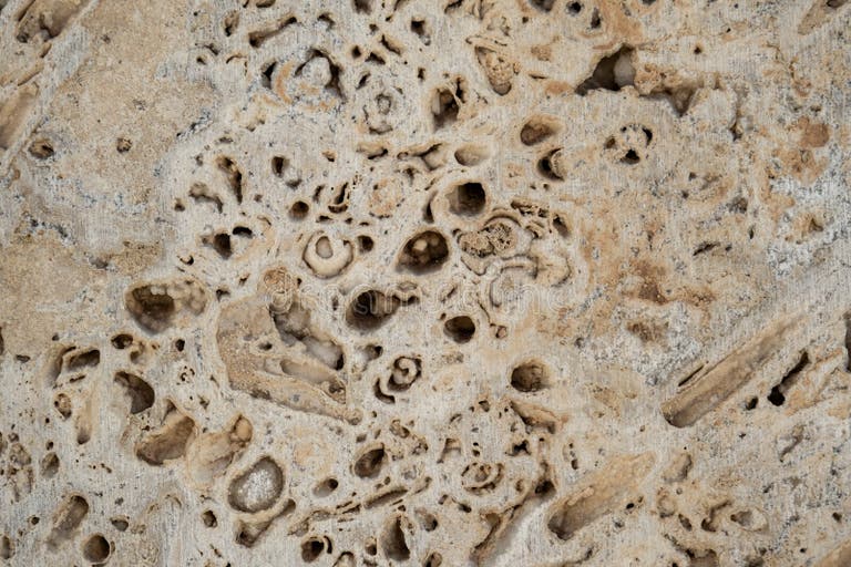 Detail of Concrete Formwork Wall Texture Stock Image - Image of closeup ...