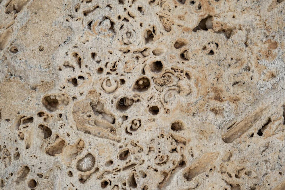 Detail of Concrete Formwork Wall Texture Stock Image - Image of closeup ...