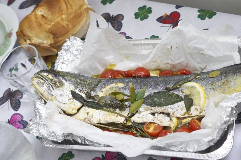 Lampuki stock image. Image of gold, mahi, lampuga, gills - 37576019