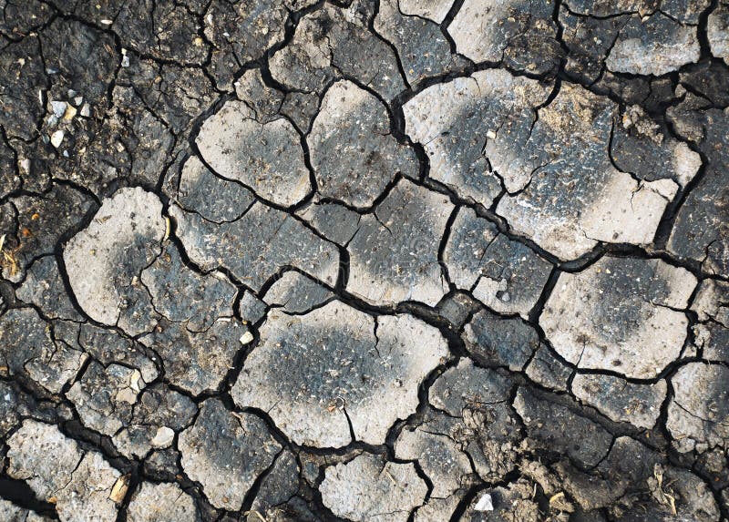 Detail of Cracks on Dry Clay Loam Stock Image - Image of grunge, barren ...