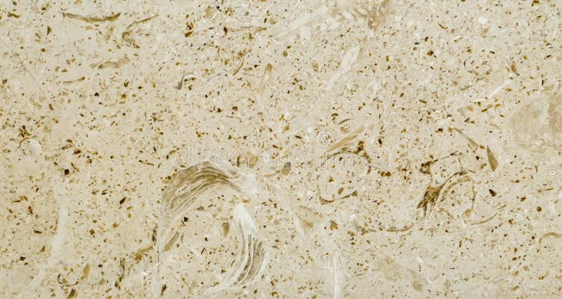 Detail of the Decorative Limestone Rock Stock Photo - Image of pattern ...