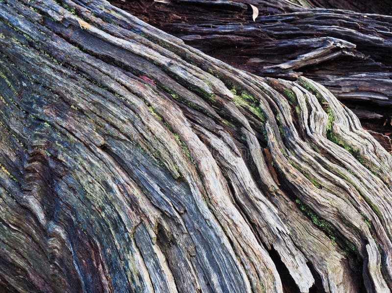 Old Tree Barck, Textured Background Stock Image - Image of pattern ...