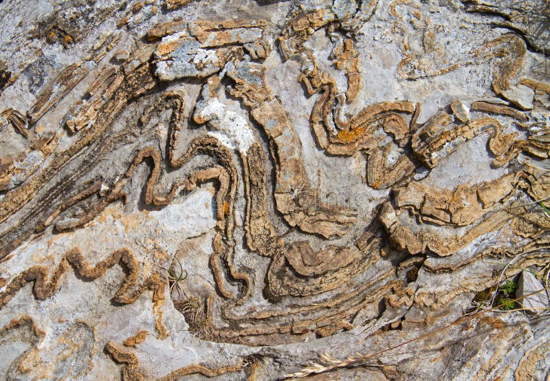 Deformed, Curved Layers in Rock Stock Image - Image of rough, pattern ...