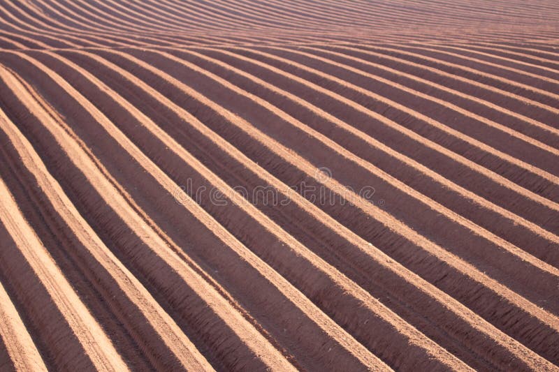 A Detail of a Devon Field Ready for Planting Stock Photo - Image of ...