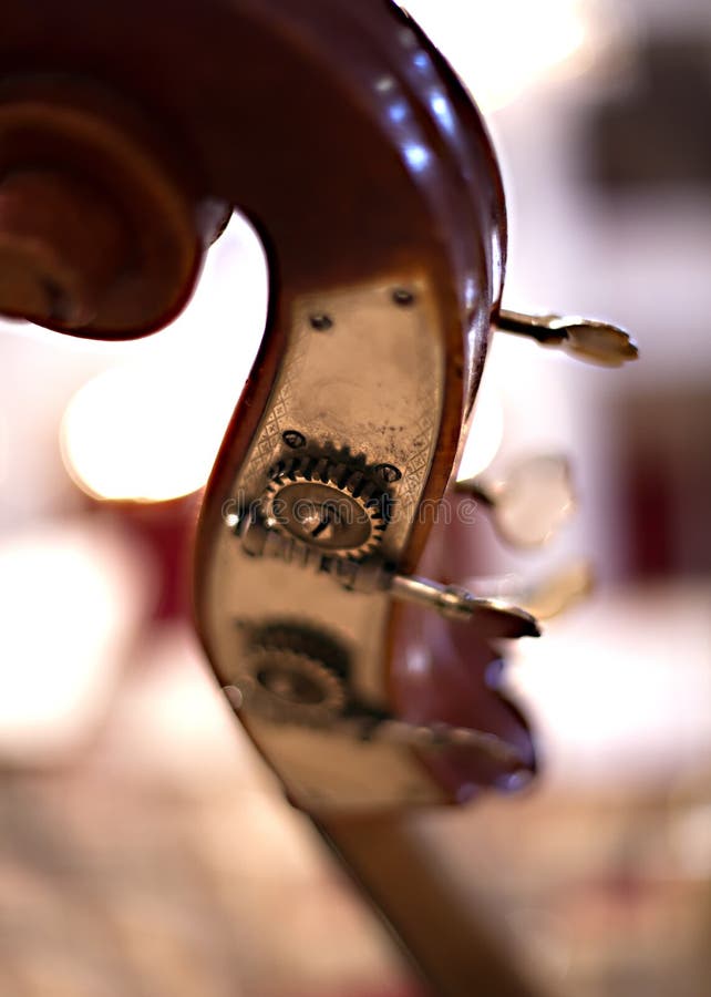 Double Bass stock photo. Image of concert, harmony, classical - 30086596